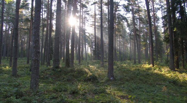 Kairiojo Neries kranto turizmo trasa | pamatykLietuvoje.lt - kelionių ...